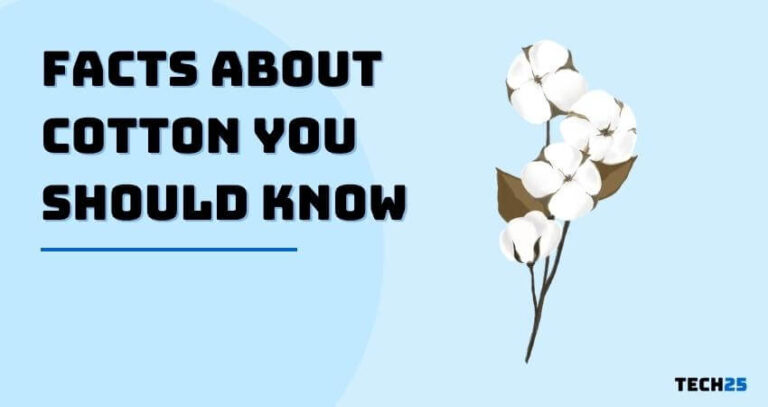 Facts General facts about stuff you didn't know related to tech